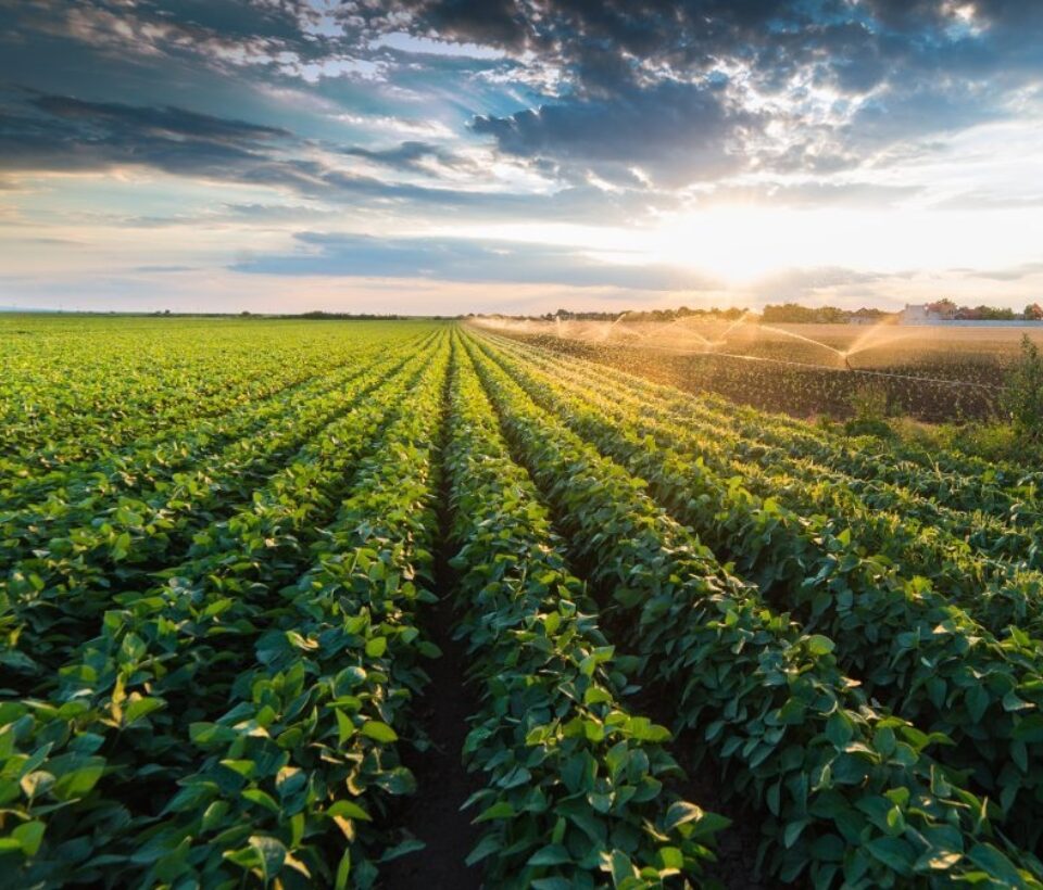 To help Alberta's economic recovery, the Canada Infrastructure Bank ...